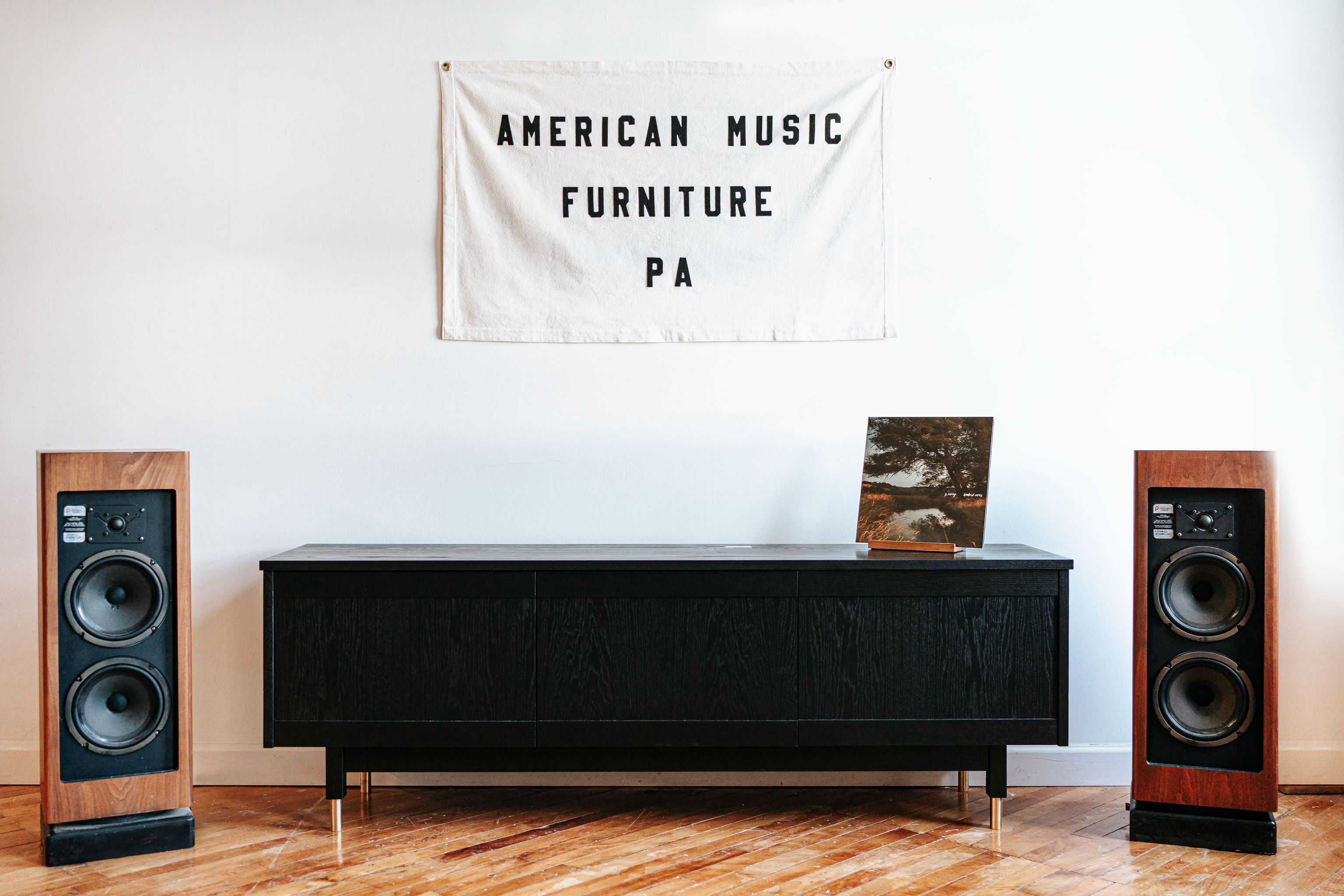 Audiophile Furniture & Vinyl Storage - American Music Furniture