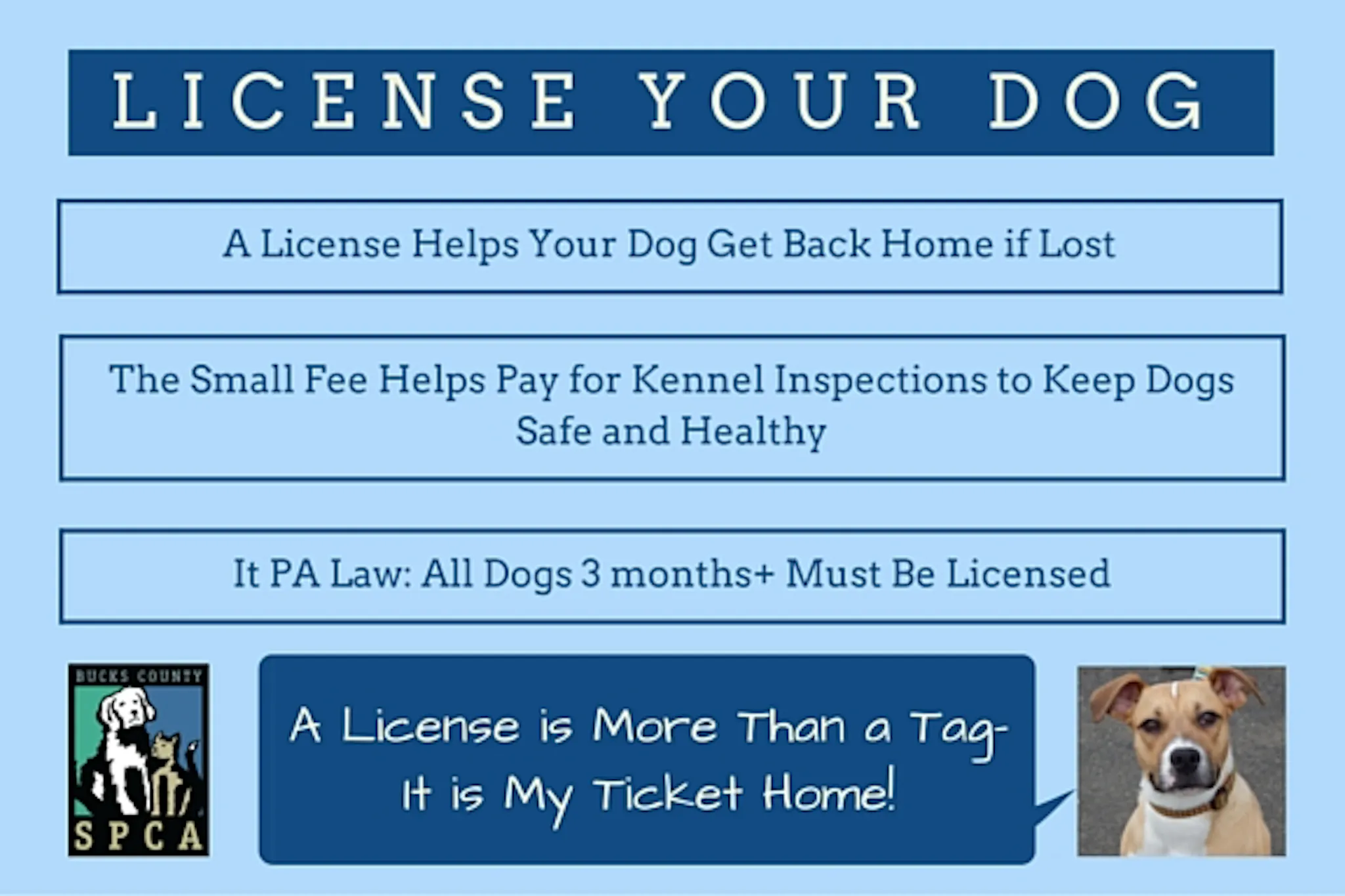 Dog Licensing Bucks County SPCA dog-licensing-bucks-county-spca