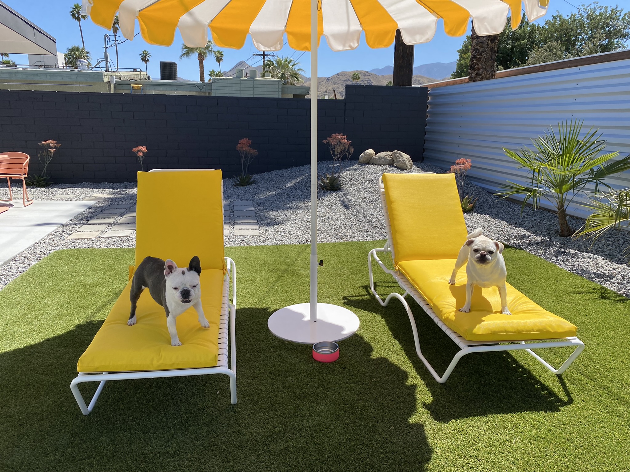 Cushions | CFR Patio