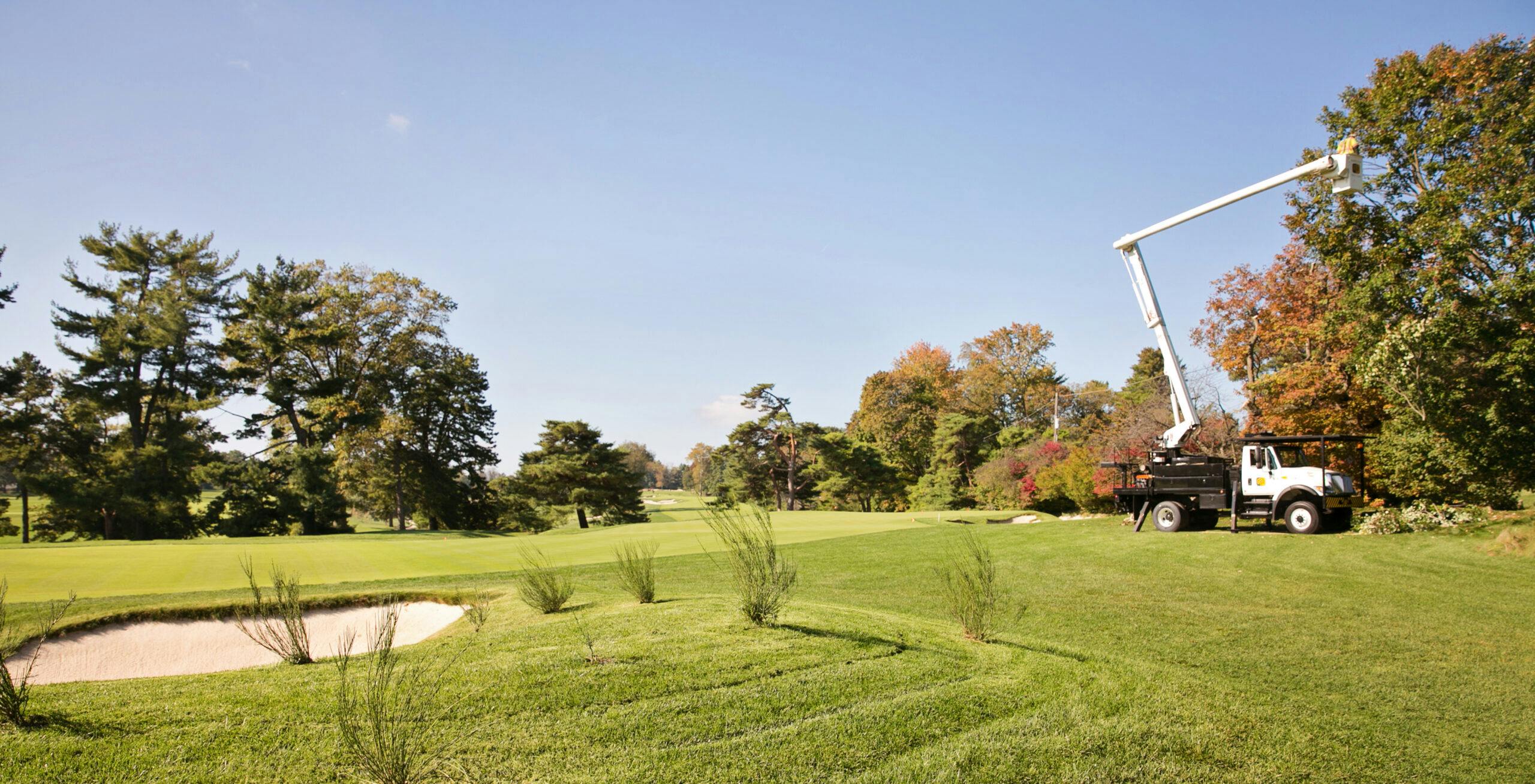 Golf Course Trees - They Need a Pro too - Golf Property Analysts