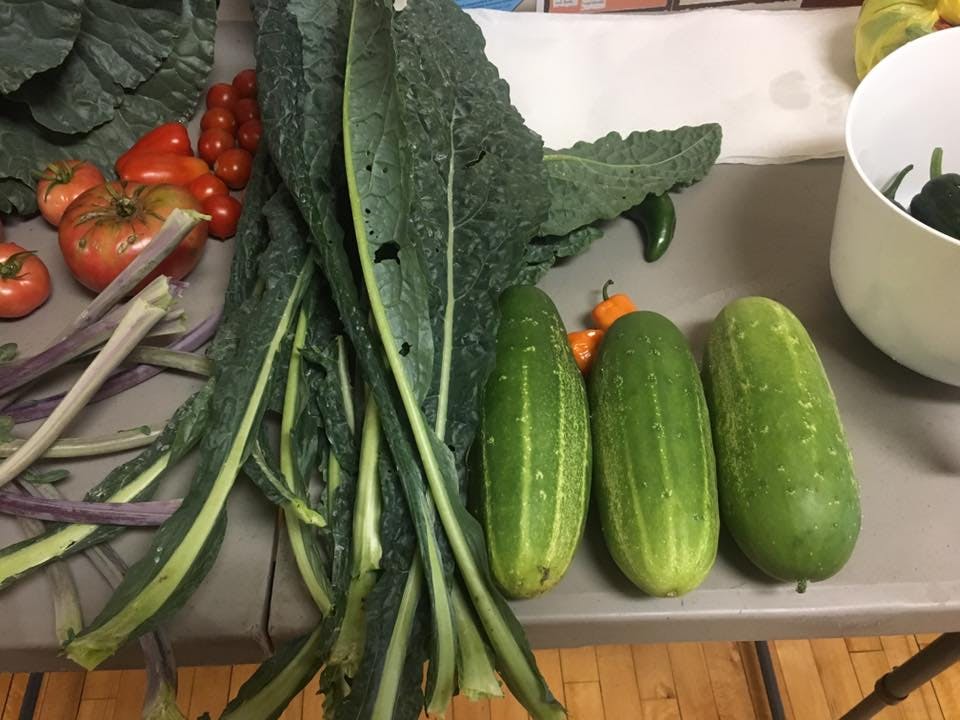 Healthy Food Project - Greener Partners