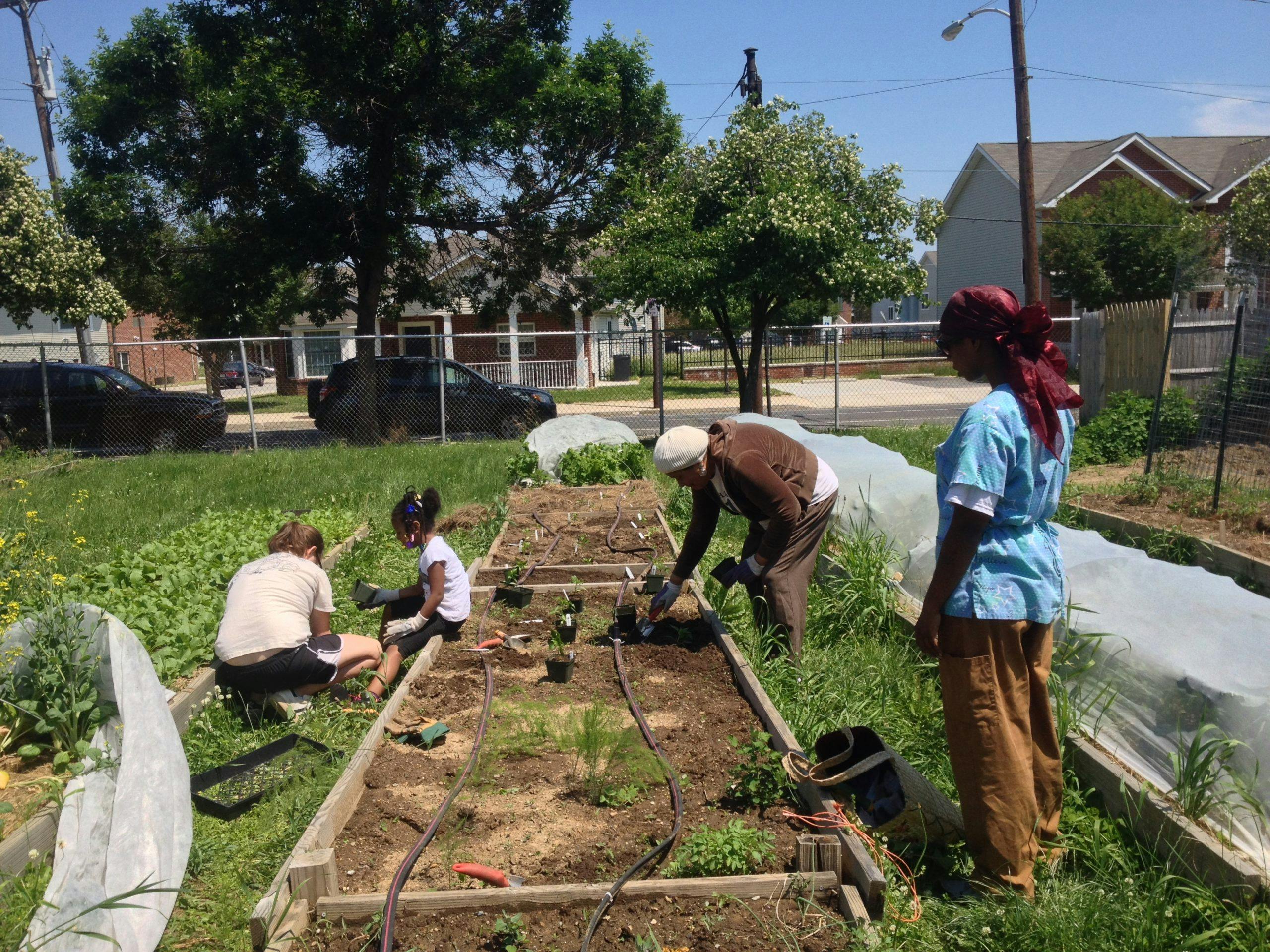 Guild House Farm - Greener Partners