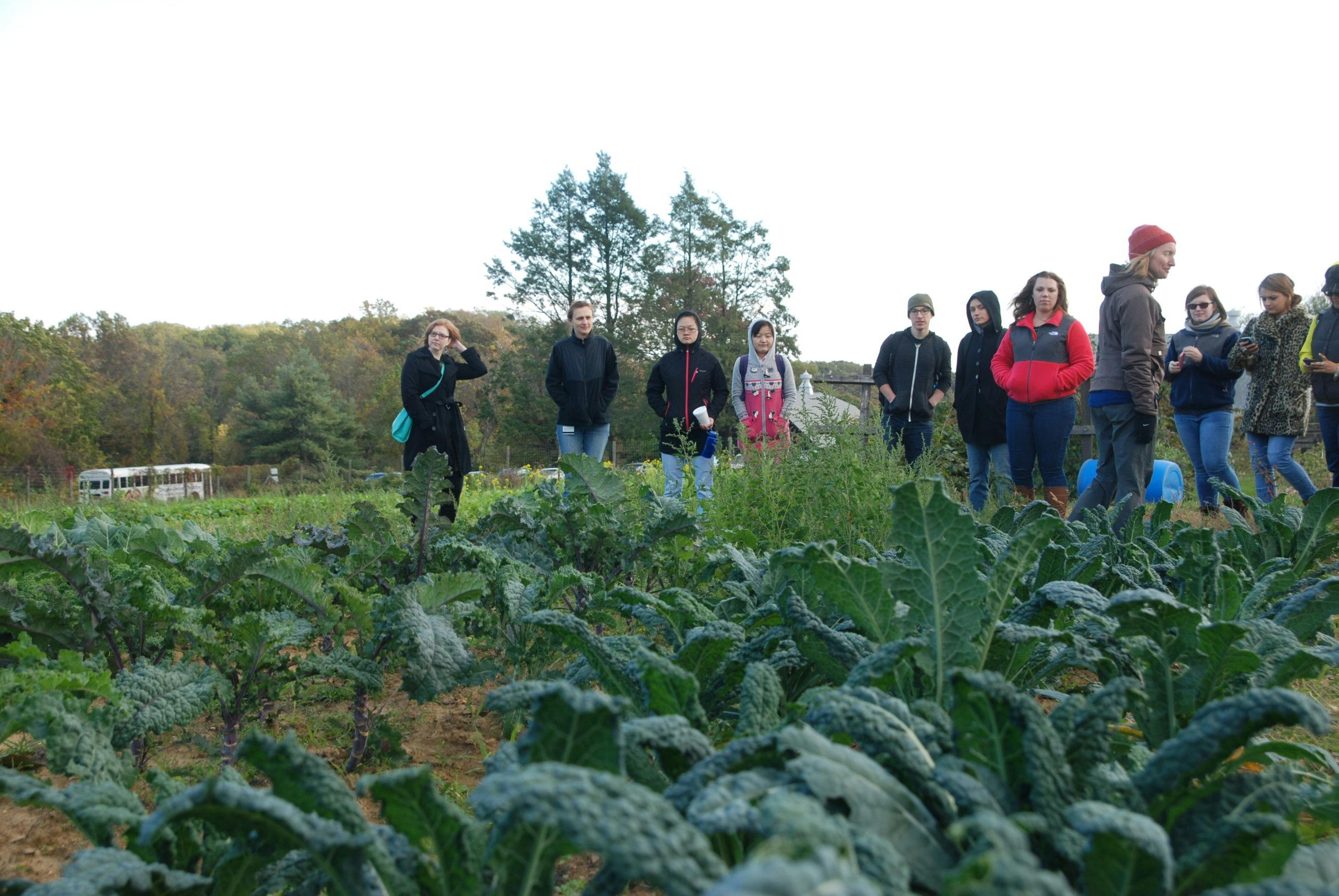 Field Trips - Greener Partners