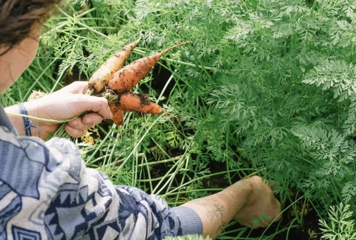 Greener Partners Featured In The Philadelphia Inquirer For Our ...