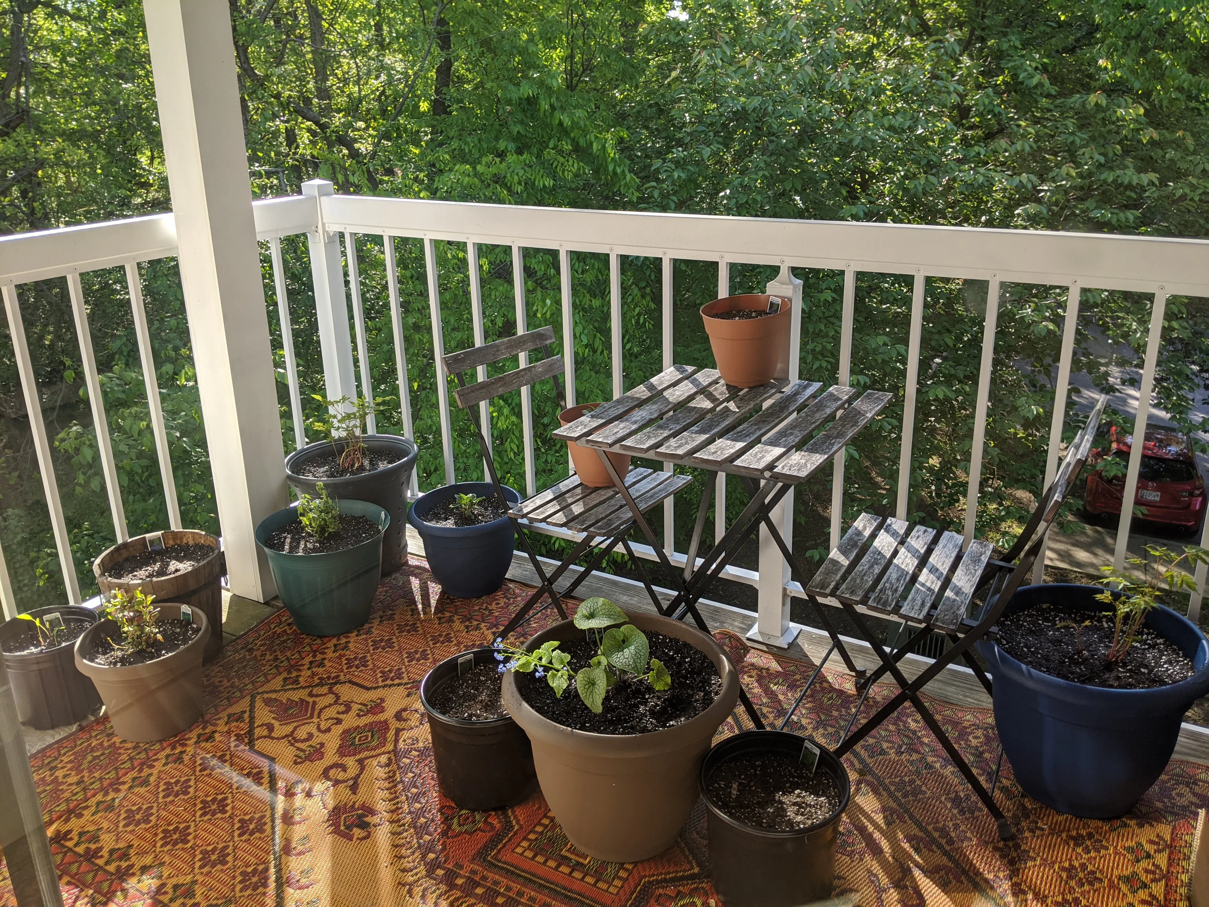 Container Gardening on a Shady Balcony - Media-Upper Providence Free ...