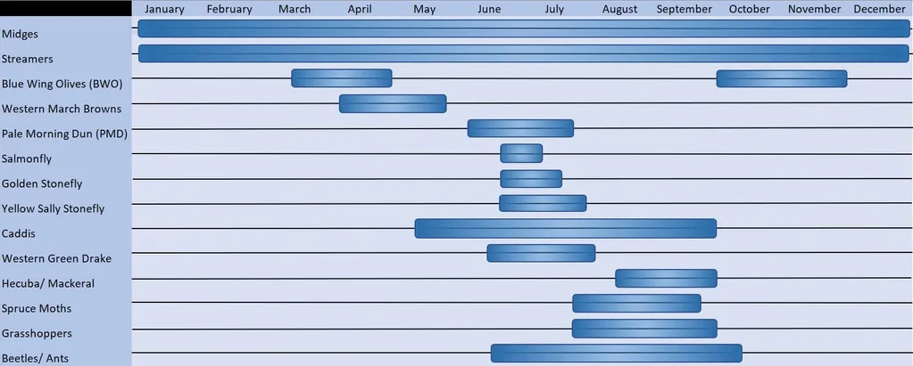 Madison Drainage: Gibbon River - Parks Fly Shop