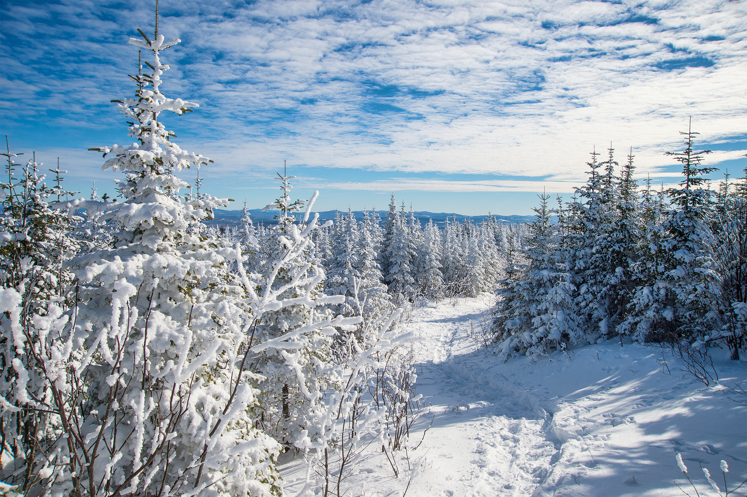 Winter Shop and Winter Rentals - Parks Fly Shop