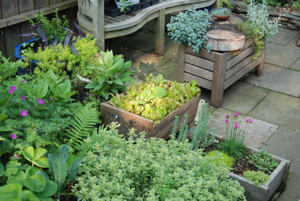 Garden