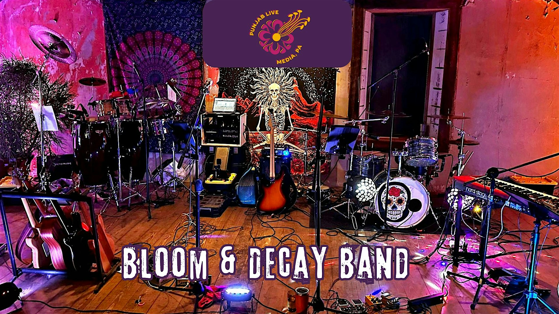 Bloom & Decay ~ Grateful Dead Tribuite