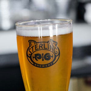 Sterling Pig's Main Line Today Debut